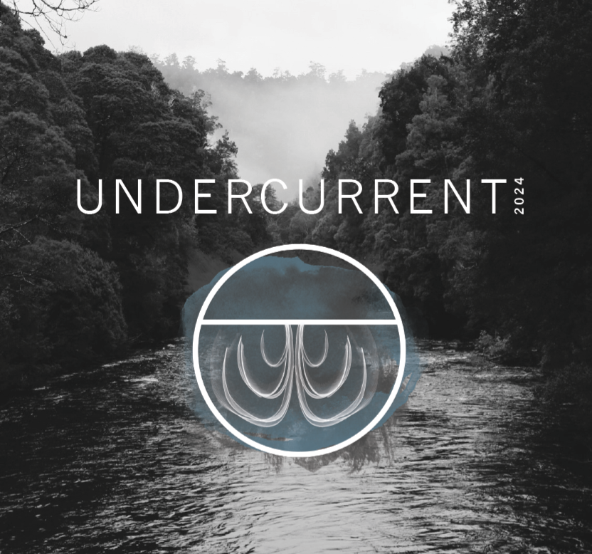 Undercurrent Payment 2025 – ArtsCape Wynyard