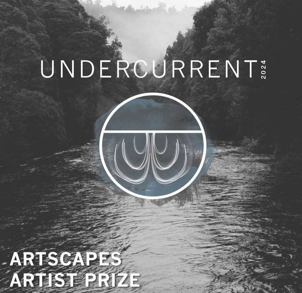 Past Exhibitions Gallery – ArtsCape Wynyard